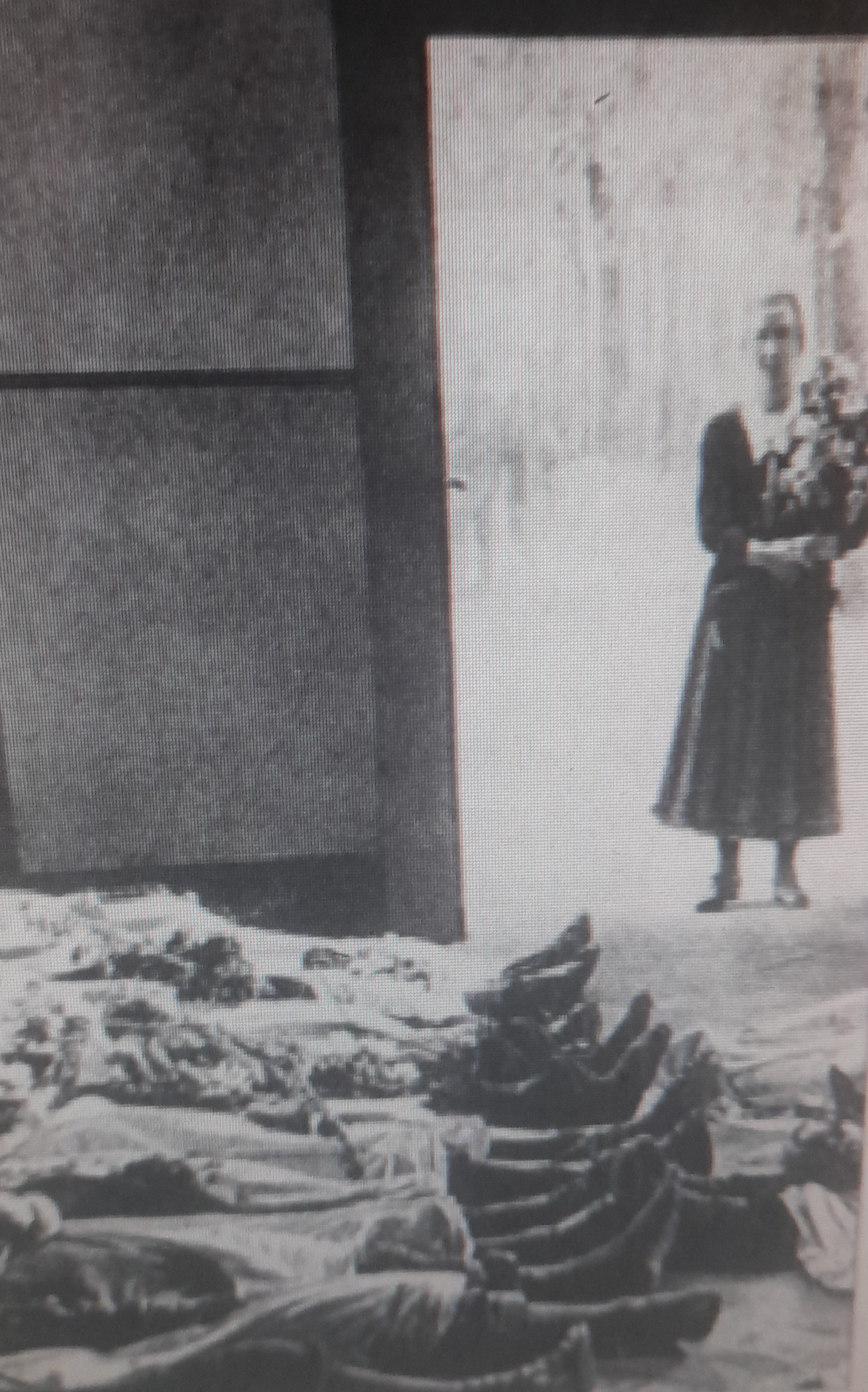 Der Bromberger Blutsonntag – oder der „erzwungene Krieg“ – Klara Fall ...